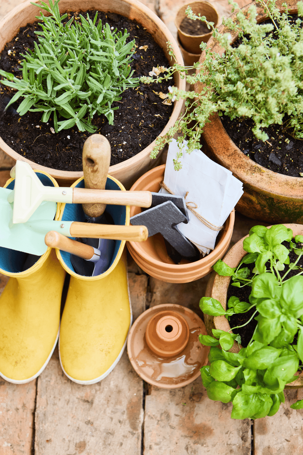 Boost Your Herb Garden Harvest with the Best Herb Gardening Tools