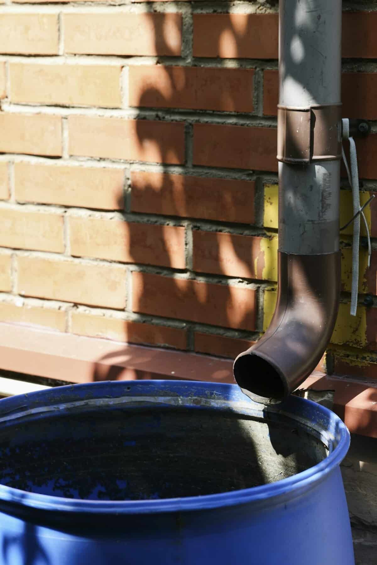 Rainwater Harvesting - How to Get Started