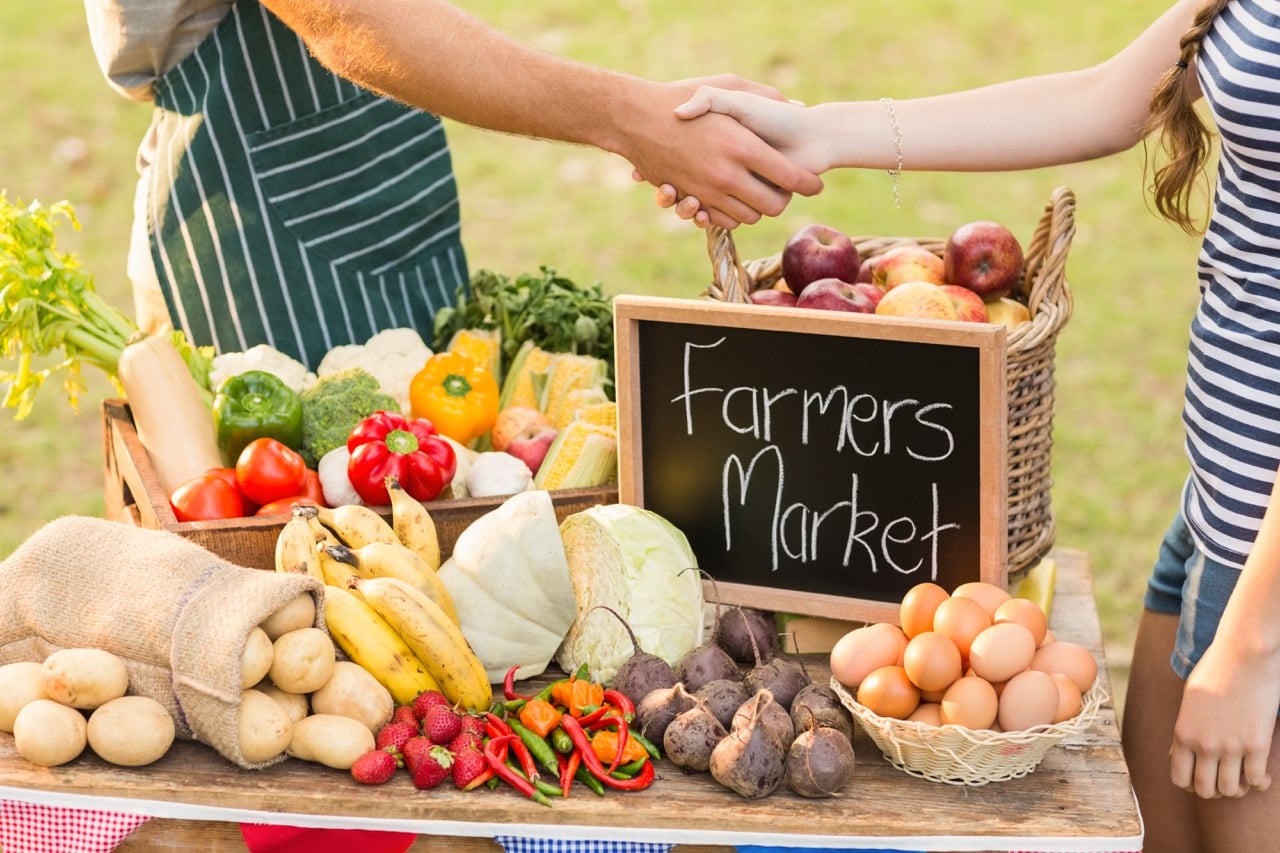 Marketing Farm Products: How To Boost Sales On TikTok And Instagram ...