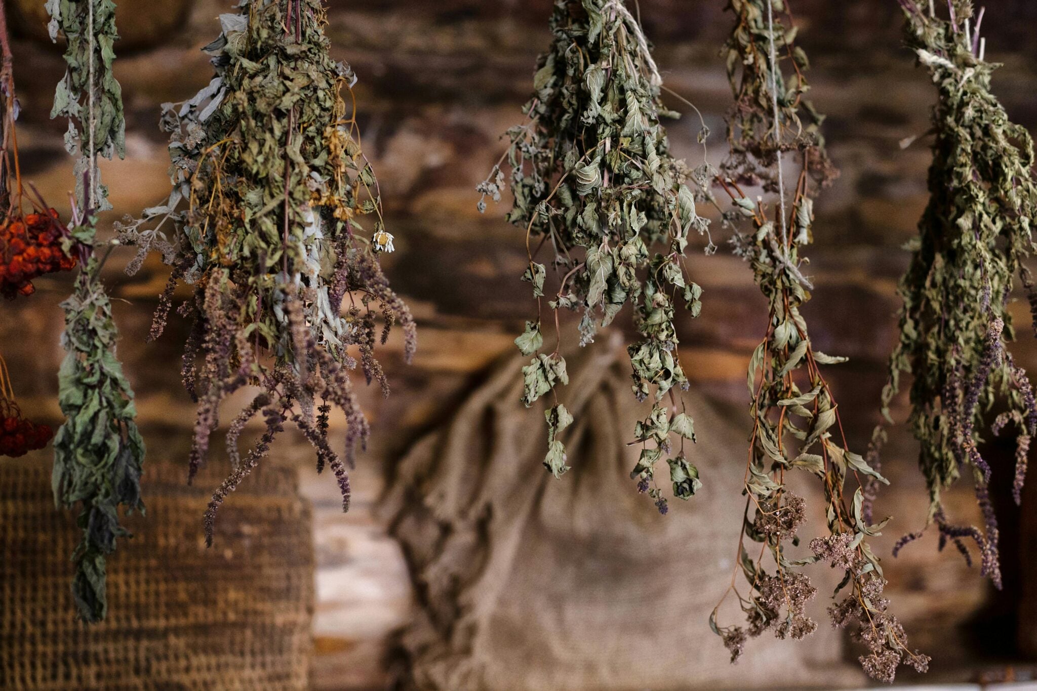 How to Dry Herbs: Air Drying, Oven Drying, and Freezing for Long-Term ...