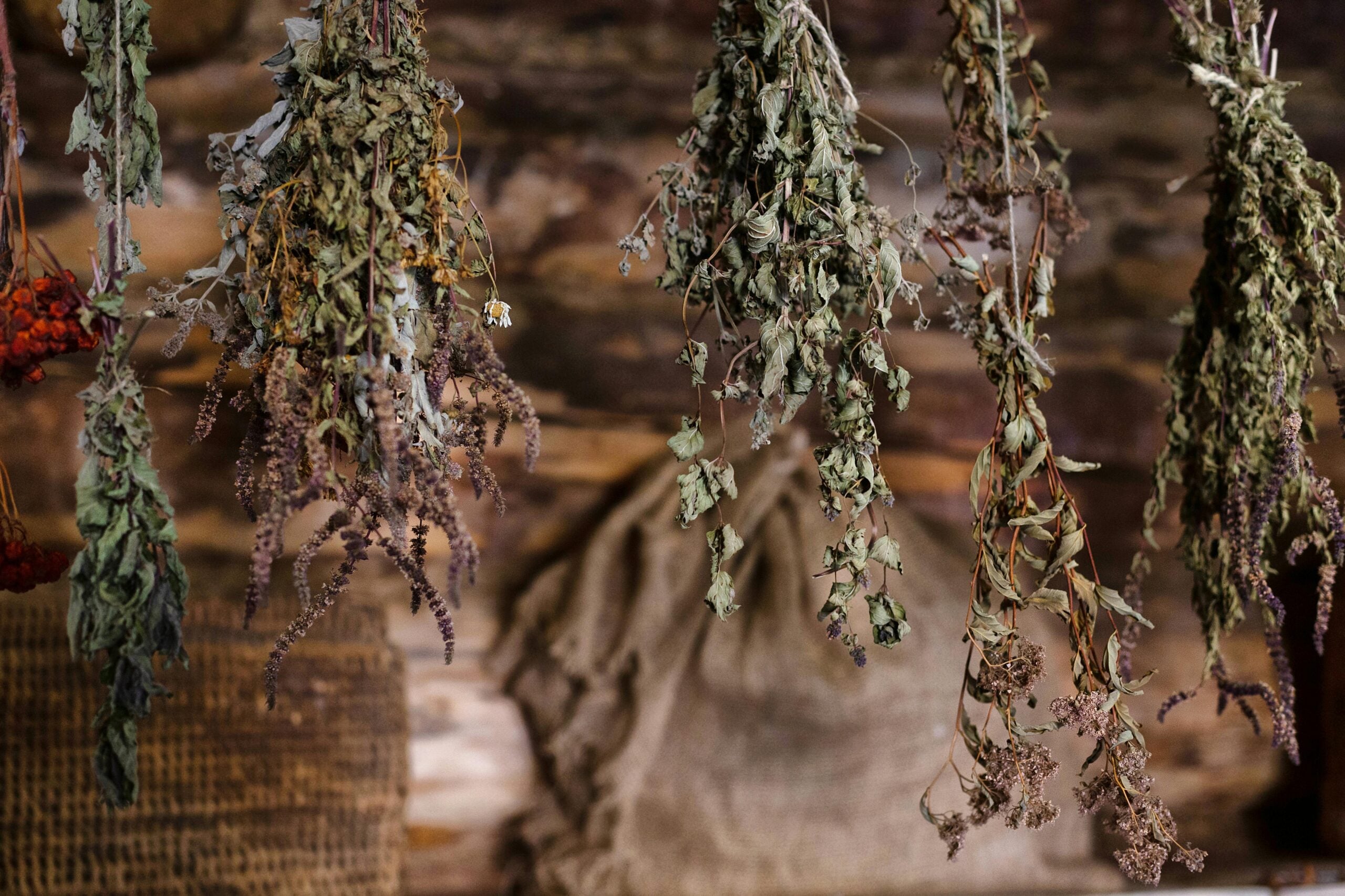 How to Dry Herbs: Air Drying, Oven Drying, and Freezing for Long-Term ...